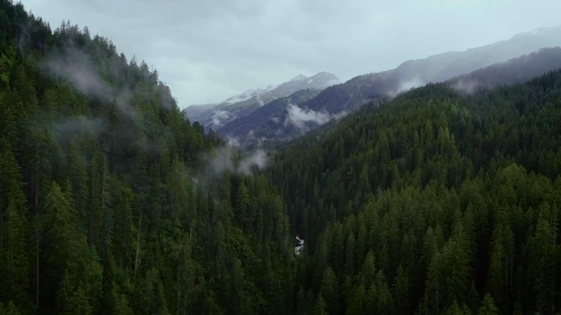 Ana Sayfa - techasaY